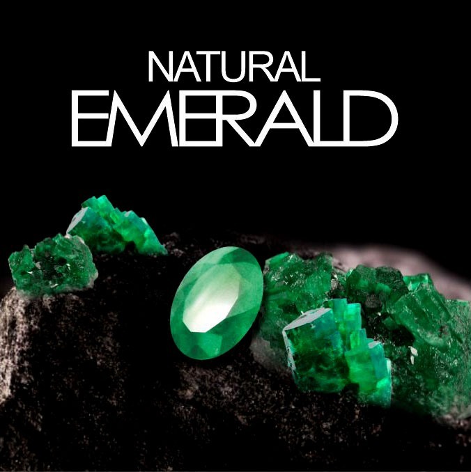 TERRA BRASILLIS - BDGM